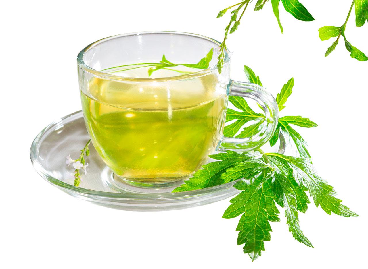 HIERBA LUISA, BENEFICIOS, PROPIEDADES Y PARA QUE SIRVE